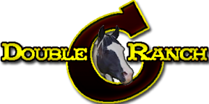 Double C Ranch – Homozygoter Hengst Zuchtsuten aus den USA Paint Horse ...